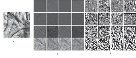 Figure 2 From Palmprint Verification Using Gridpca For Gabor Features