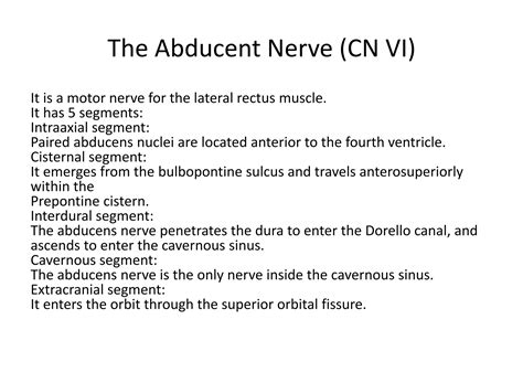 Radiologic Anatomy Of The Cranial Nerves Pptx