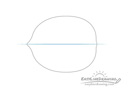 How To Draw A Walnut Step By Step Easylinedrawing