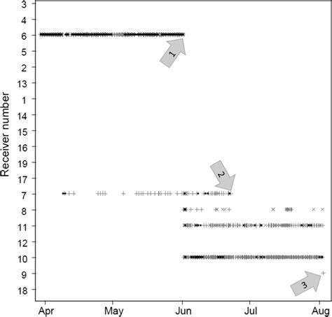 Example Abacus Plot Of Detections For Gray Snapper Id87 From Pumpkin