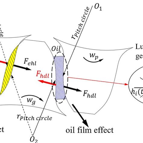 Schematic Diagram Of Gear Contact Form Download Scientific Diagram