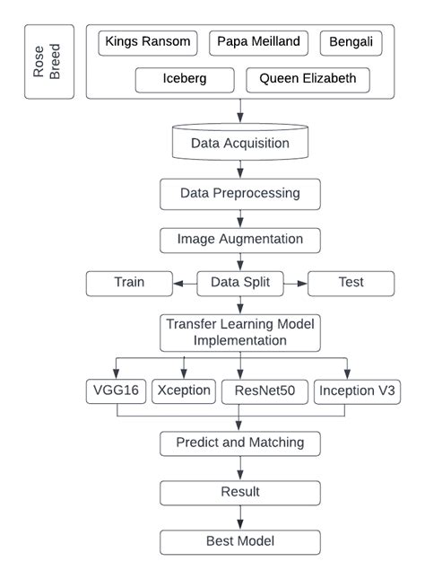 Working Diagram Of Proposed Methodology Download Scientific Diagram
