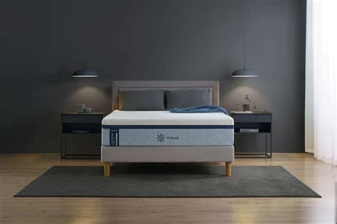 Memory Foam Mattresses Zinus