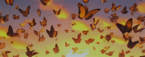 Букеты от Марины Букеты от Марины букеты с подсветкой сделанные заботливыми руками 2025