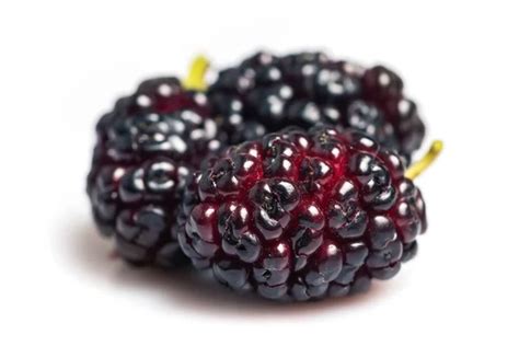 구 즈 베리 스톡 사진 로열티 프리 구 즈 베리 이미지 Depositphotos