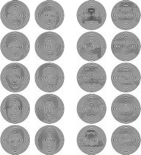 The Range Of Stimulus Patterns Used In Experiments 1 And 2 Columns 1 Download Scientific