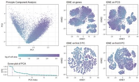 Effect Of Introducing Principle Components On Non Linear Dimensionality