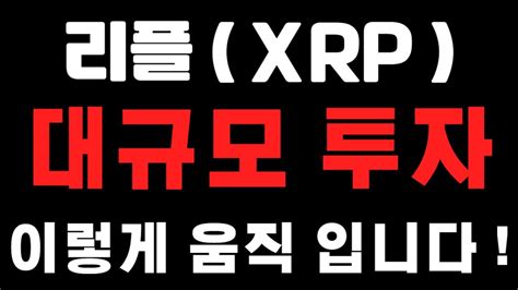리플코인 대규모 투자 이렇게 움직입니다 불독코인비트코인급등코인코인단타 Youtube