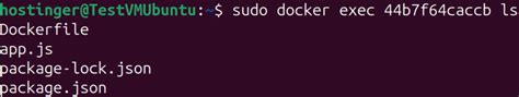 How To Use Docker Exec Command