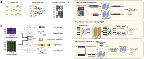 Enzyme Substrate Interaction Cd Biosynsis
