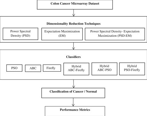 block diagram of workflow for microarray colon cancer classification download scientific diagram