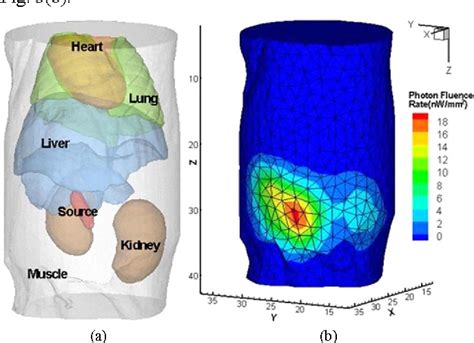 Figure 1 From Bioluminescence Tomography With Structural And Sparse A Priori Information