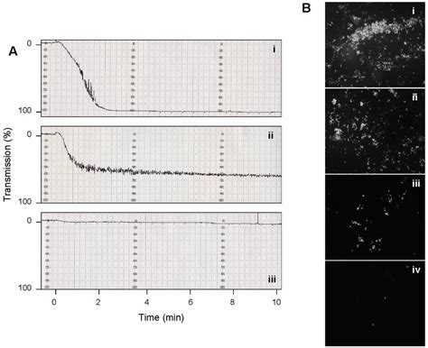 platelet aggregation curves and platelet adhesion to collagen