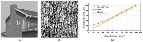 A Robust Noise Estimation Algorithm Based On Redundant Prediction And Local Statistics