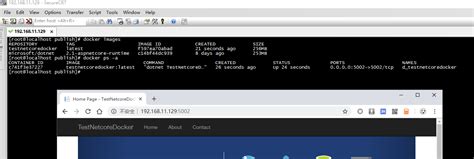 demo演示一键发布netcore项目到Docker Issue yuzd AntDeployAgent GitHub