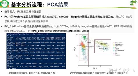 不同组织细胞类型概述 知乎