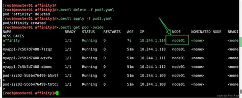 【kubernetes】关于k8s集群如何将pod调度到指定node节点亲和与反亲和等pod指定node Csdn博客