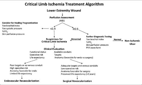 Vascular Mind Optimal Revascularization For Critical Limb Ischemia One Approach Does Not