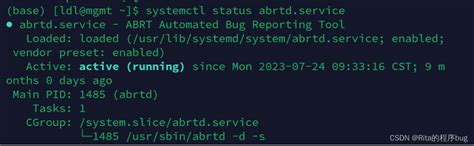 linux报错处理：‘abrt cli status timed out abrt cli status timed out csdn博客