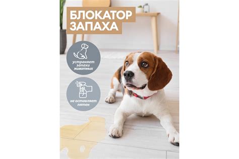 Средство против запаха Grass Smell Block 600мл 802004 - выгодная цена ...