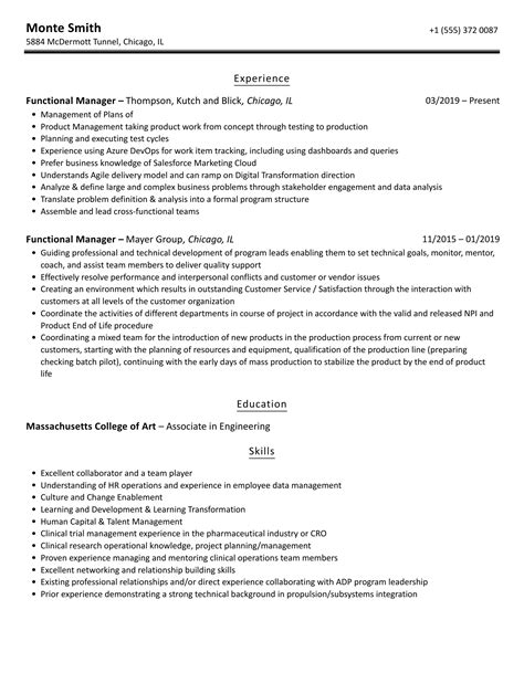 Functional Manager Resume Samples Velvet Jobs