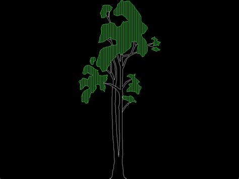 Tree In AutoCAD Download CAD Free KB Bibliocad