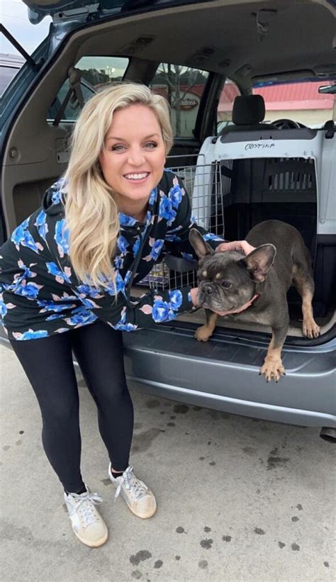 Вимоги до перевезення тварин у країни ЄС