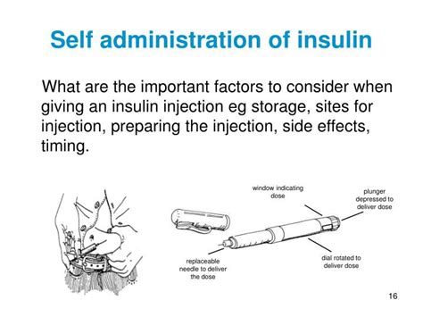 Ppt Insulin Powerpoint Presentation Id1822648