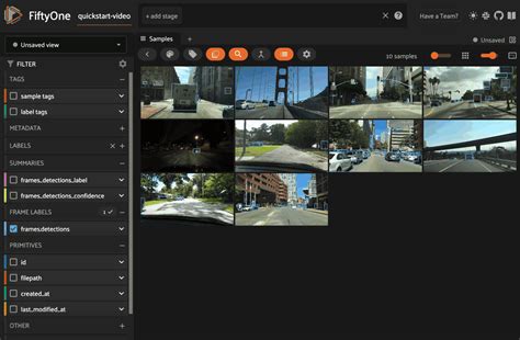 Using Fiftyone Datasets — Fiftyone 172 Documentation