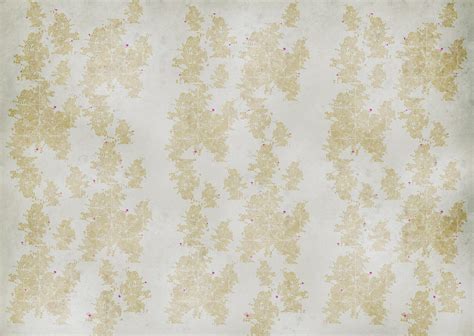 Location Dislocation Bone Architonic