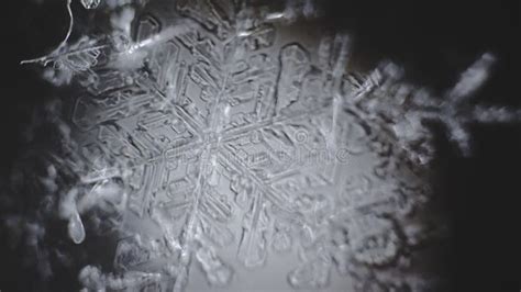 Observation Of A Melting Snowflake Under A Microscope Science Project Stock Video Video Of