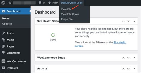 How To Enable Debug Mode In WordPress Manually With A Plugin