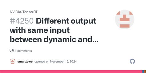 Different Output With Same Input Between Dynamic And Static Shape Model