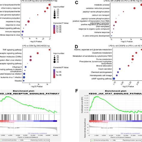 Functional Enrichment Analysis Of Degs A And B Functional Enrichment Download Scientific
