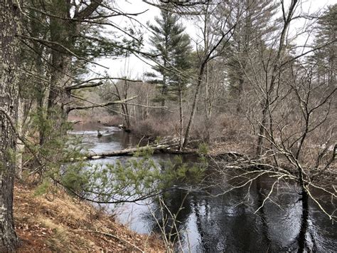 Mass River Dreams Isinglass River
