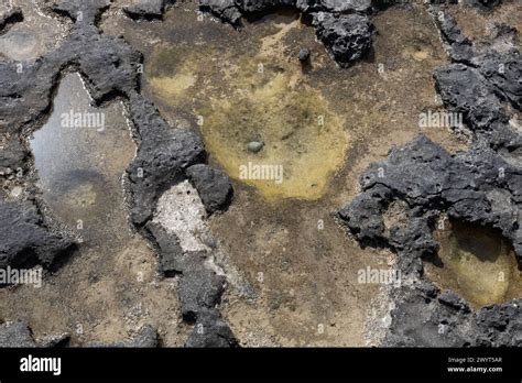 Rocky Tidal Pools Volcanic Rock Formation With Natural Tidal Pools And