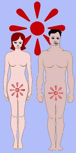 Natural Law As The Basis For Doctrine On Birth Control Catholics And Contraception