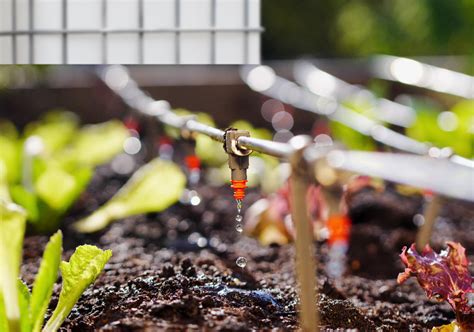 IBC Totes In Modern Farming Practices IBCs Role In Agriculture