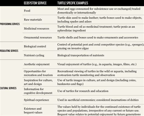 Correspondence Between Ecosystem Services And Components Of Total