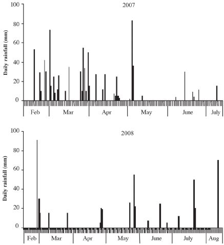 Distribution Of Daily Rainfall During The And Experiments Download Scientific Diagram