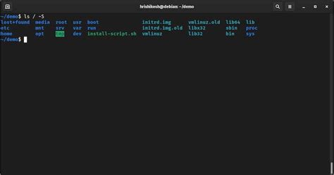 如何在 Linux 中查找大文件