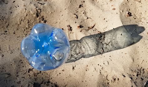 병은 플라스틱입니다 생태 플라스틱 오염 해양 오염 모래에 플라스틱 해변 개념에 휴지통 인공 오염 및 포스터 세계 프로모션 주간 우리는 세상을 깨끗하게 합니다 우리는 파편에서