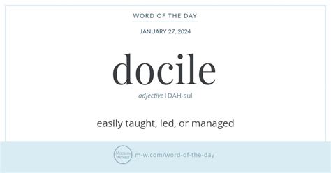 Word Of The Day Docile Merriam Webster