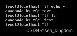 Linux echo命令详解 CSDN博客