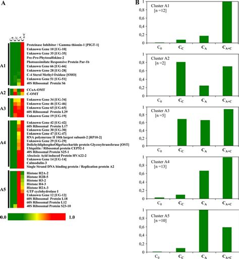 Hierarchical Clustering As A Function Of Hormonal Expression Of Lxl