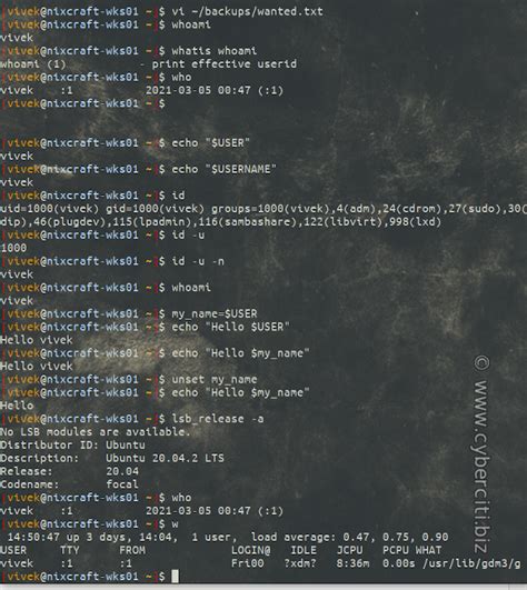 Linux Unix Shell Script Get Current User Name Nixcraft