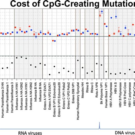 A Pictorial Representation Of 12 Transition Mutation Groups Each