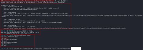 Sqlmap The Best Tool For Automated Sql Injection Detection Techarry