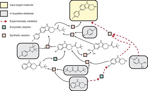 Example Hybrid Pathway Search Results For Fluoropyridinyl Download