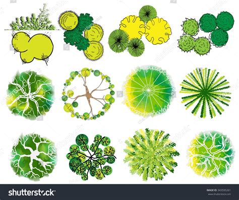 Treetop Over Royalty Free Licensable Stock Vectors Vector Art Shutterstock